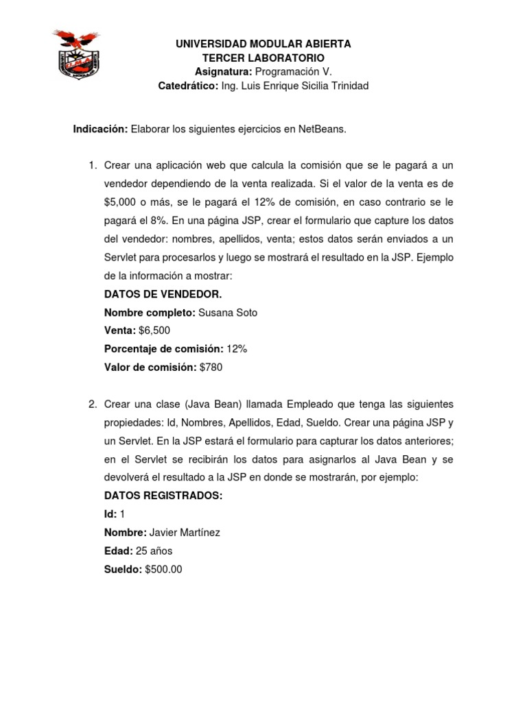 Ejercicios de Programación en NetBeans | PDF