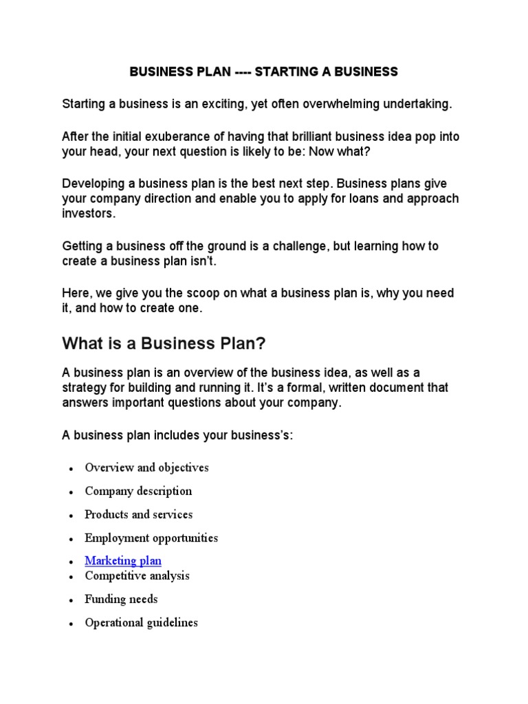Business Plan Template For A Start Up Business Pdf Business Plan