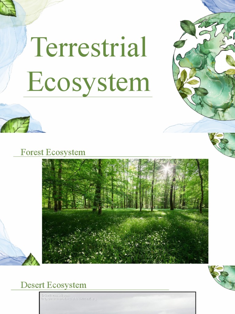 Terrestrial & Aquatic Ecosystems | PDF