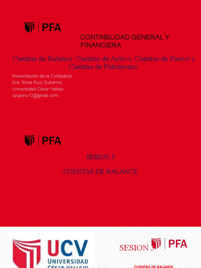 Sesion 3.-Cuentas de Balance Activo, Pasivo y Patrimonio | PDF | Hoja ...