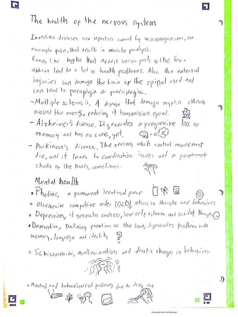 Biology Exercises | PDF