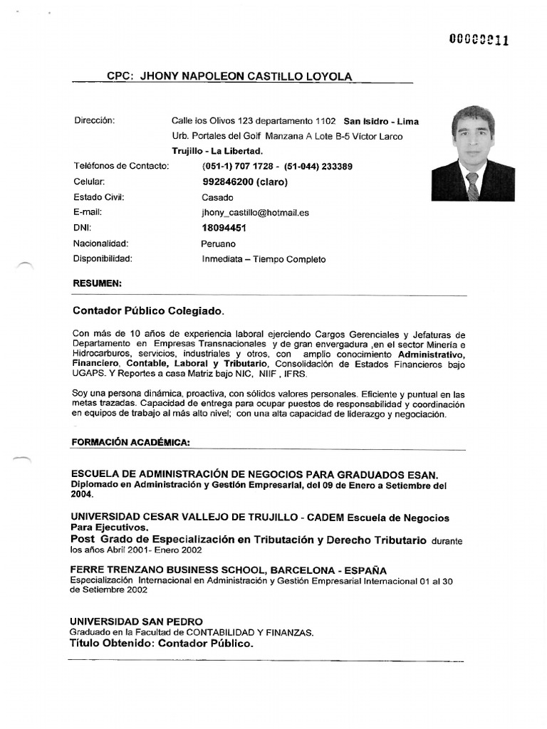 Curriculum Castillo | PDF