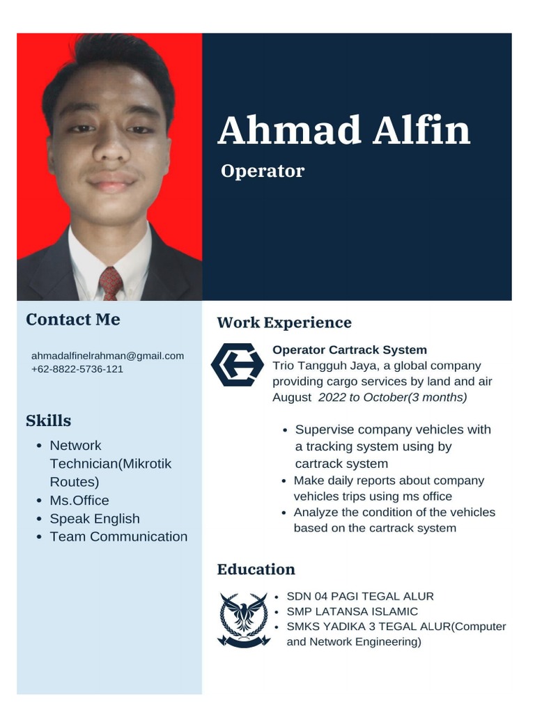CV Alfin | PDF
