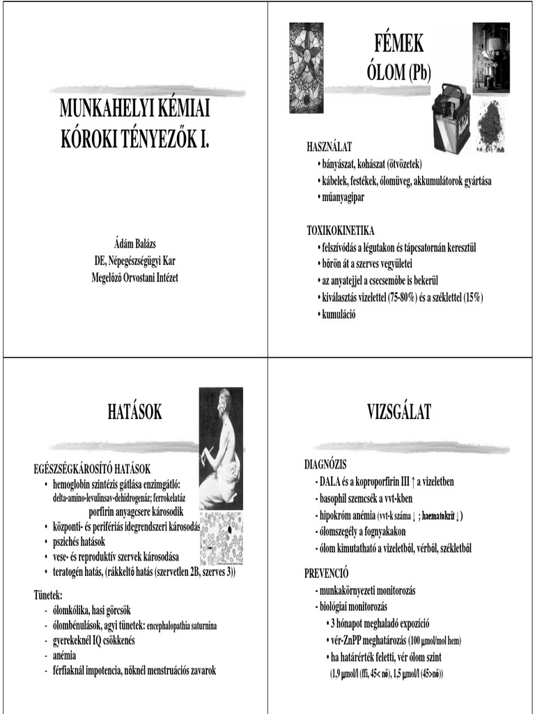 Munkahelyi Kémiai Kóroki Tényezők És Azok Megelőzésének Lehetőségei I ...