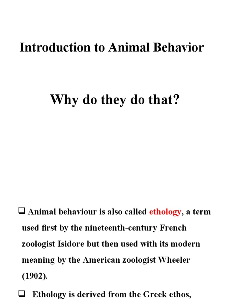 Week1 Animal Behavior 1444 | PDF | Ethology | Classical Conditioning