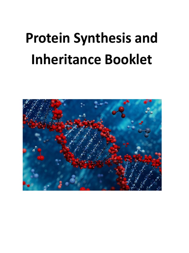 Unit 10 Protein Synthesis and Inheritance Booklet | PDF | Translation ...