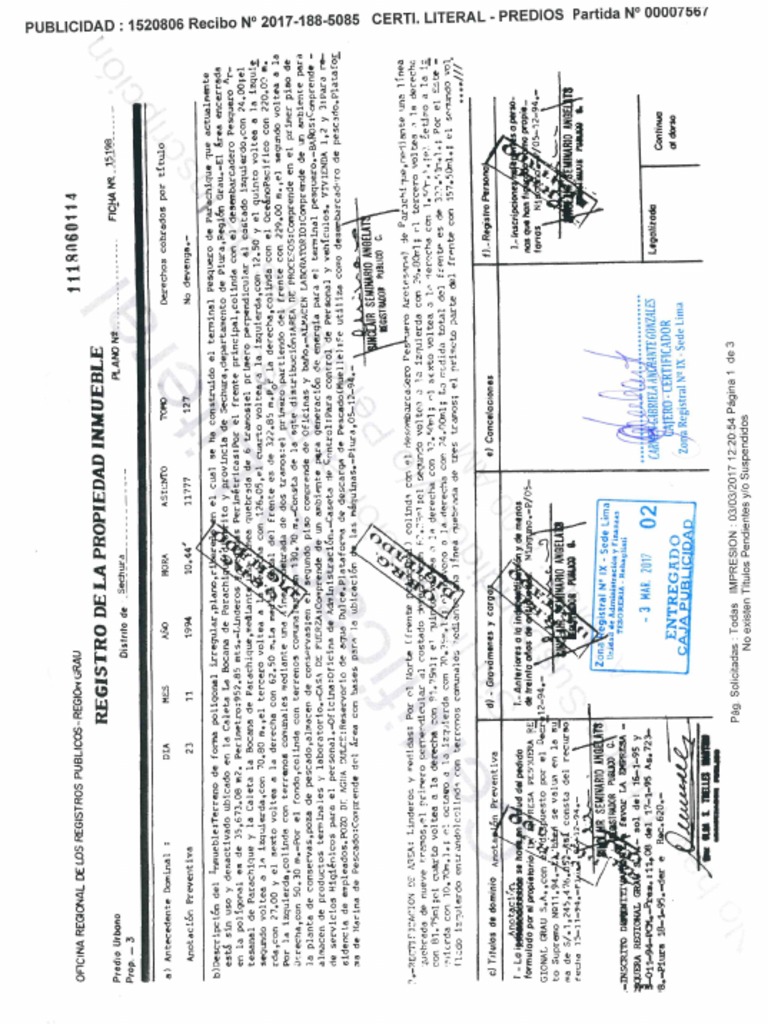 PE_TPZ_PARACHIQUE_20221229_212146_465 | PDF