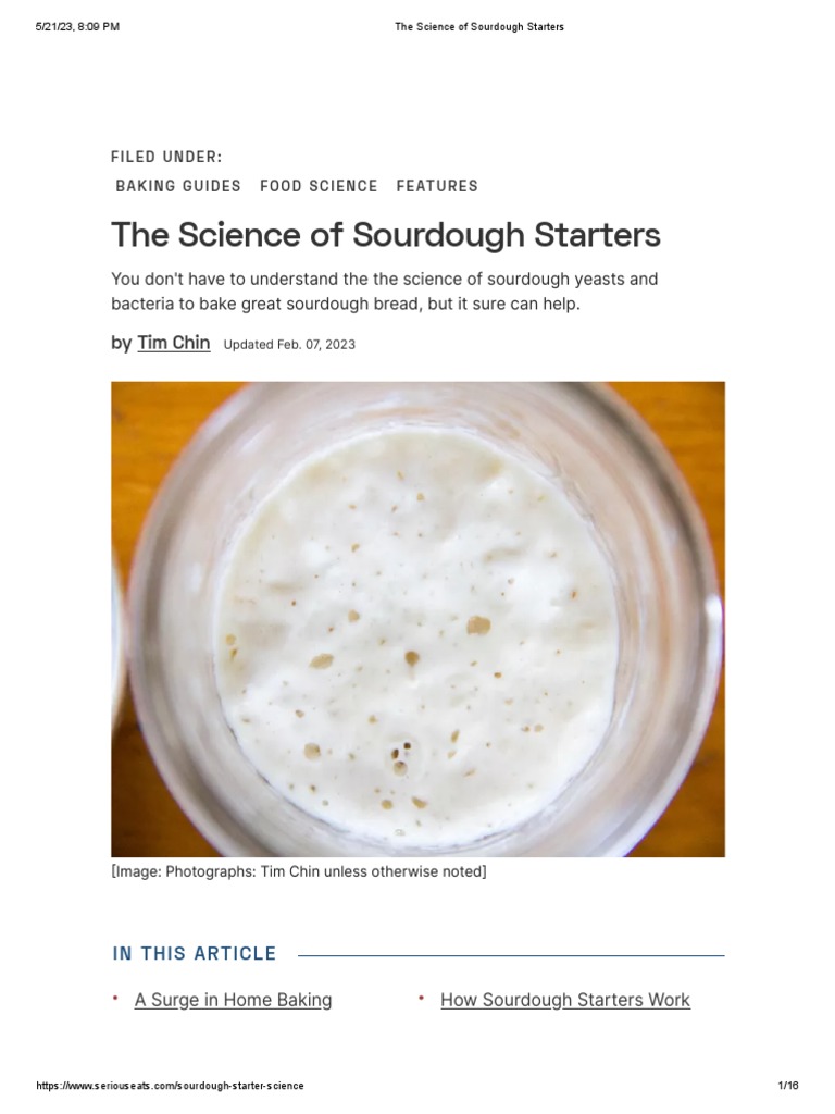 Science of Sourdough Starters Explained | PDF | Sourdough | Yeast