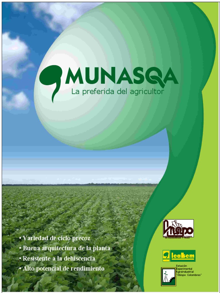 Manual Girasol Pdf Flores Siembra