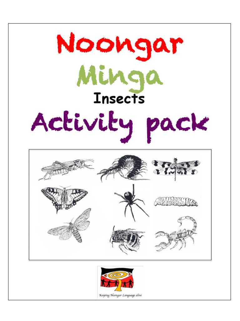 Insect Activity Pack | PDF | Vowel | Linguistics