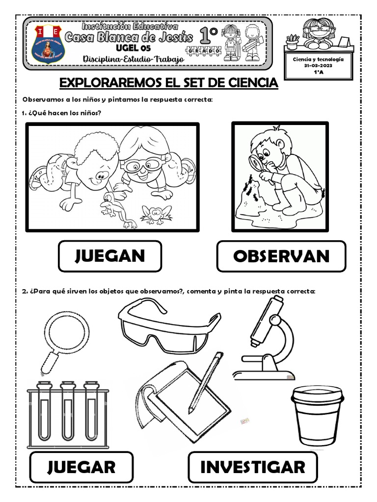 Ficha de Ciencia 31-03 PARA PRIMER GRADO | PDF