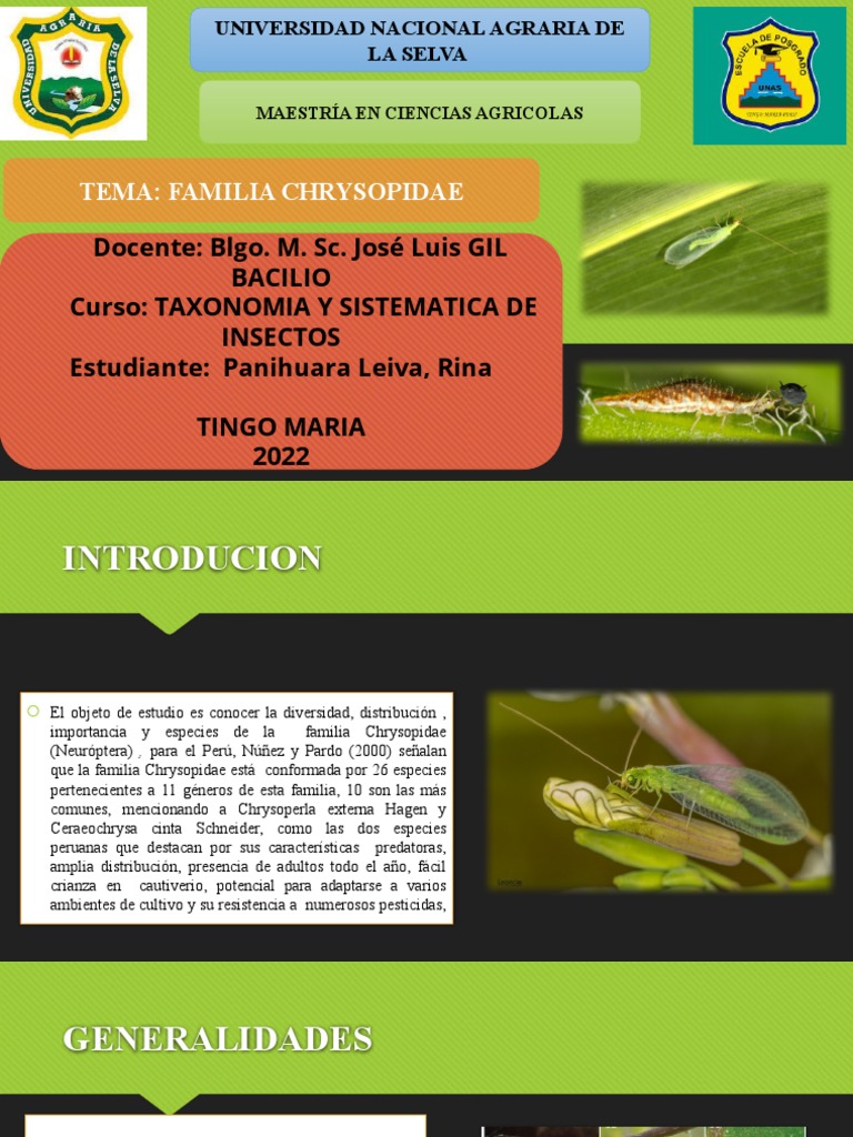 Ciclo Biológico de Crisopas Chrysopidae | PDF | Control biológico de ...