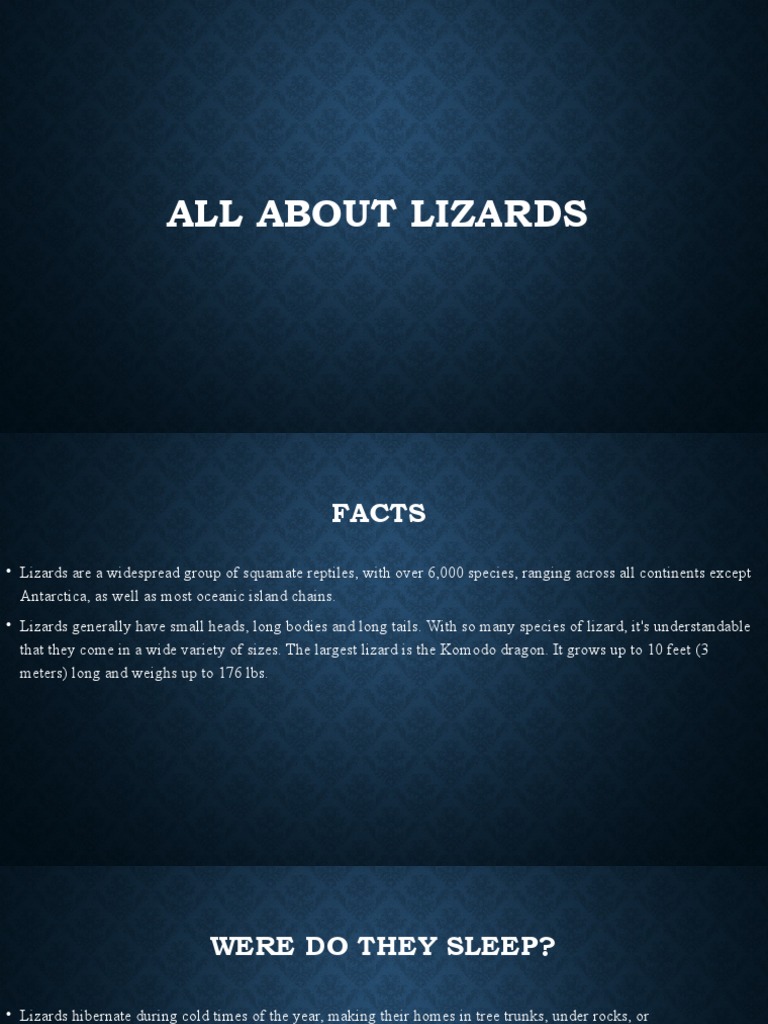 All About Lizards | PDF | Lizard | Reptile