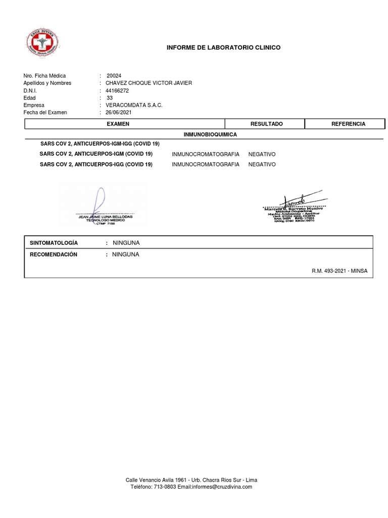 Chavez Choque Javier | PDF
