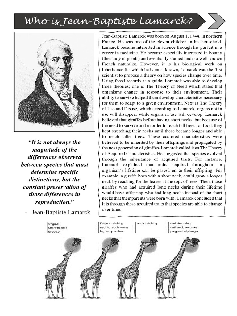 Lamarckism vs. Darwinism ACTIVITY SHEET | PDF