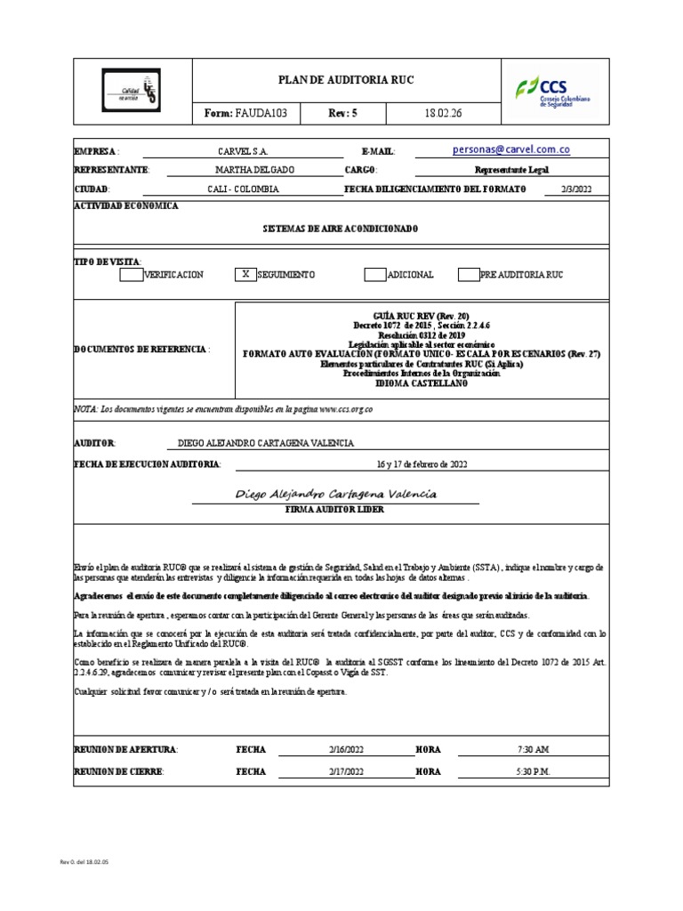 Plan Audi Ruc Carvel Sa 2022.Xlsm | PDF | Auditoría | Economias