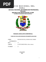 Codigo Mil 1000 | PDF | Policía