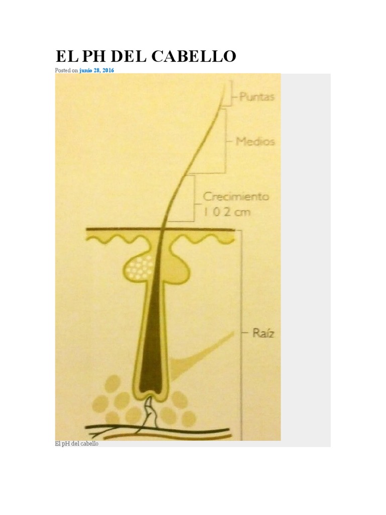 EL PH DEL Pelo | Descargar gratis PDF | Ph | Pelo