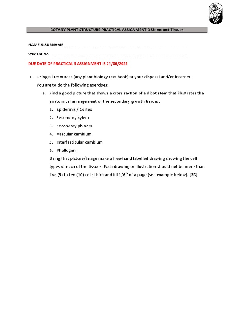 Botany Plant Structure Practical 3 Assignment | PDF | Plant Stem ...