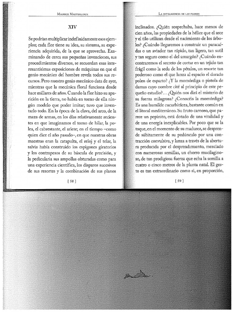 Segundo Capitulo Libro La Inteligencia de Las Flores | PDF