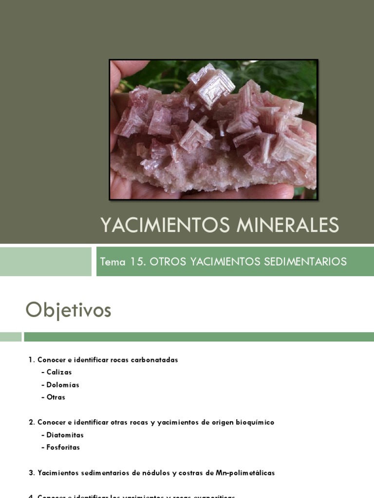 Yacimientos Minerales Sedimentarios | PDF | Cemento | Roca (geología)