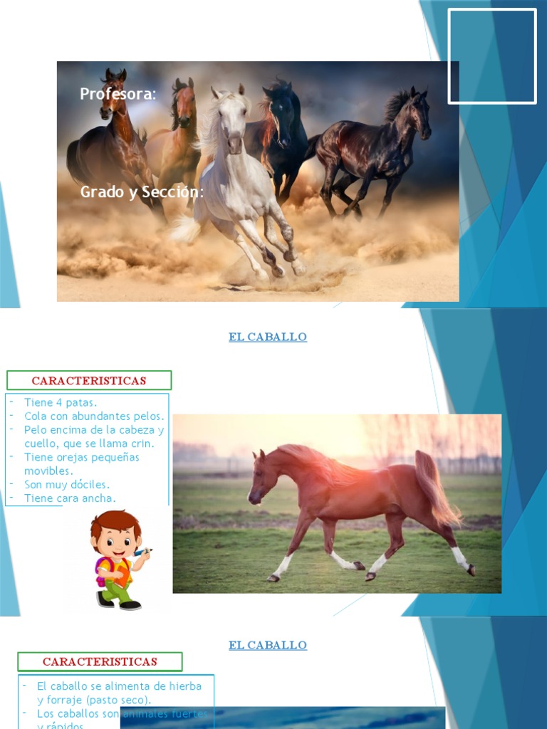 EL CABALLO Caracteristicas | PDF