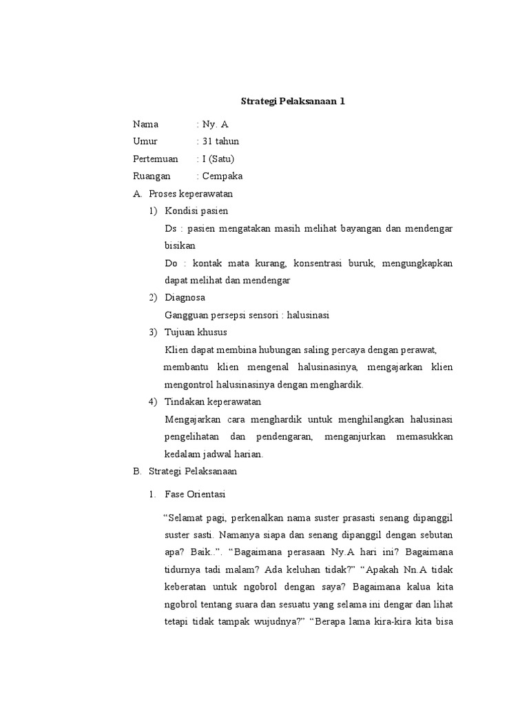 Strategi Pelaksanaan 1 Halusinasi... | PDF