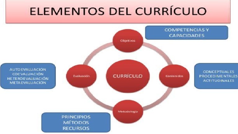 Elementos Del Curriculo | PDF