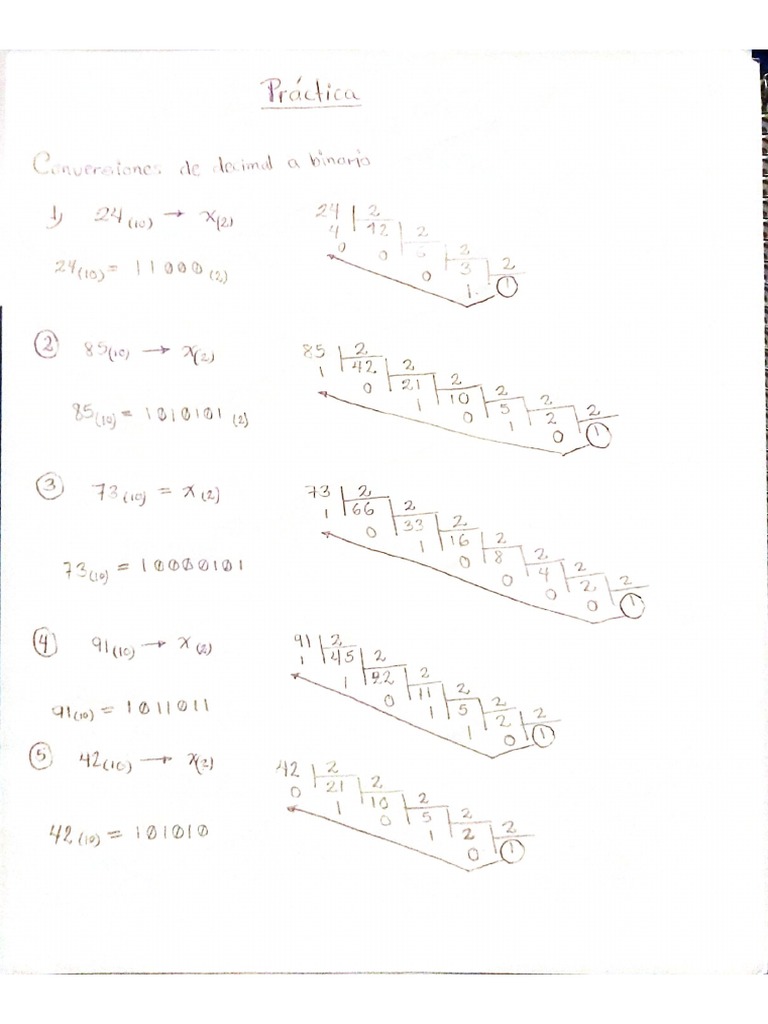 Practica 1 Programacion Pdf 