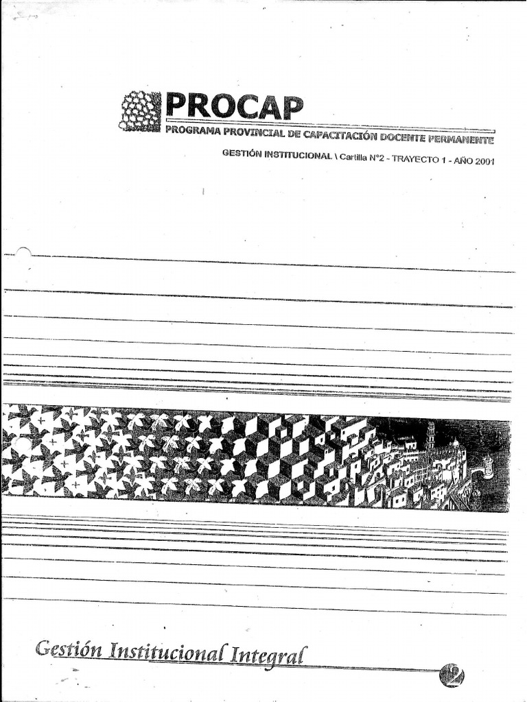 Procap - Gestion Institucional Integral | PDF
