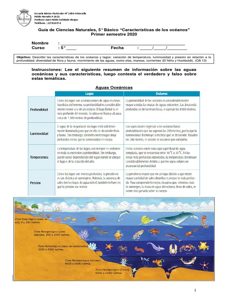 Características de los océanos para niños | PDF | Océanos | Marea