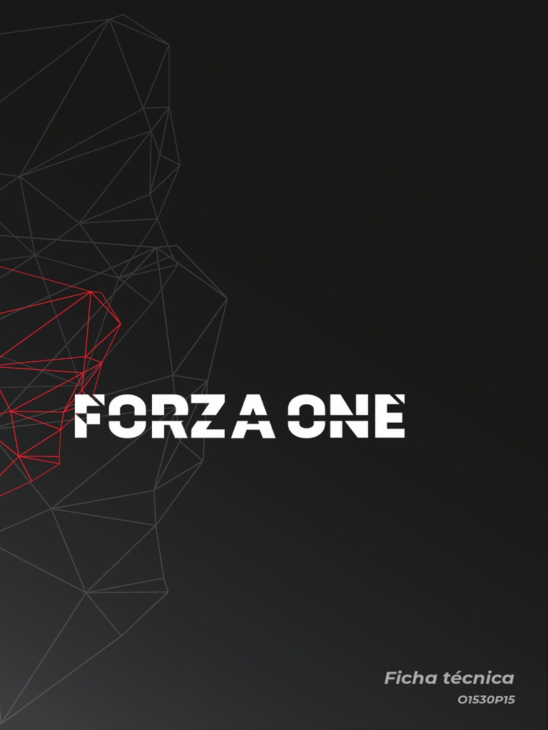 Datasheet Forza One - O1530p15 | Descargar gratis PDF | Rieles | Materiales