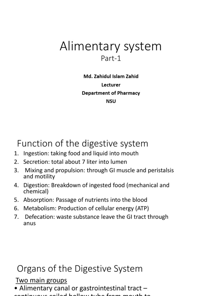2.human Anatomy GIT Part-1 | PDF | Stomach | Human Digestive System 2.human Anatomy GIT Part-1 | PDF | Stomach | Human Digestive System