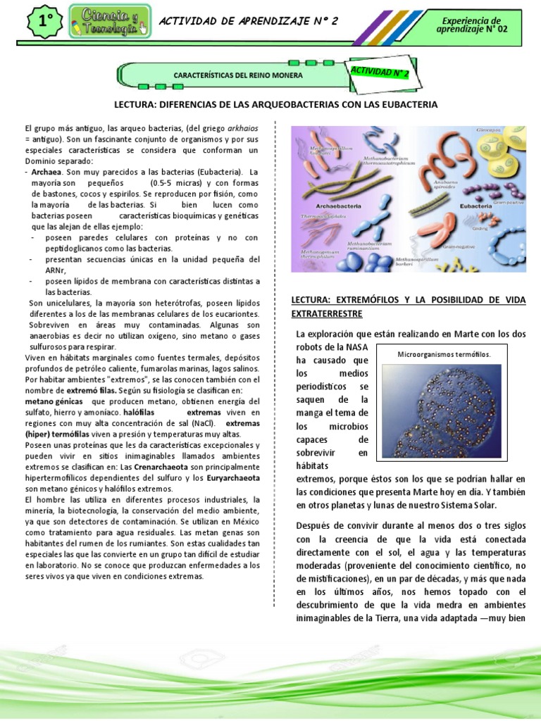 Arqueobacterias: Características y Hábitats | PDF | Archaea | Las bacterias