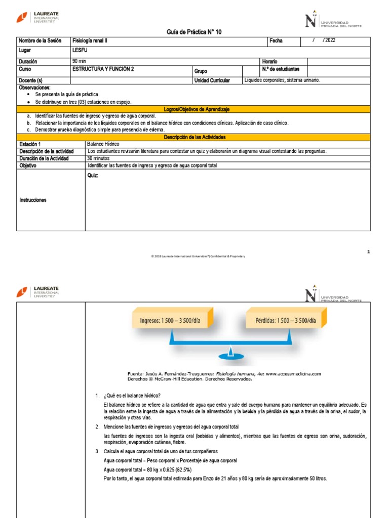 10 SEM E y F 2_Guía de práctica 10 | PDF