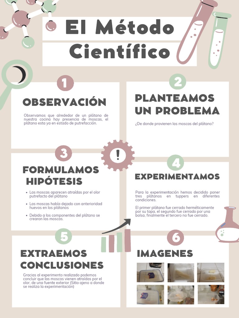 Póster Método Científico Pasos Infografia Escolar Pastel - pdf1 | PDF