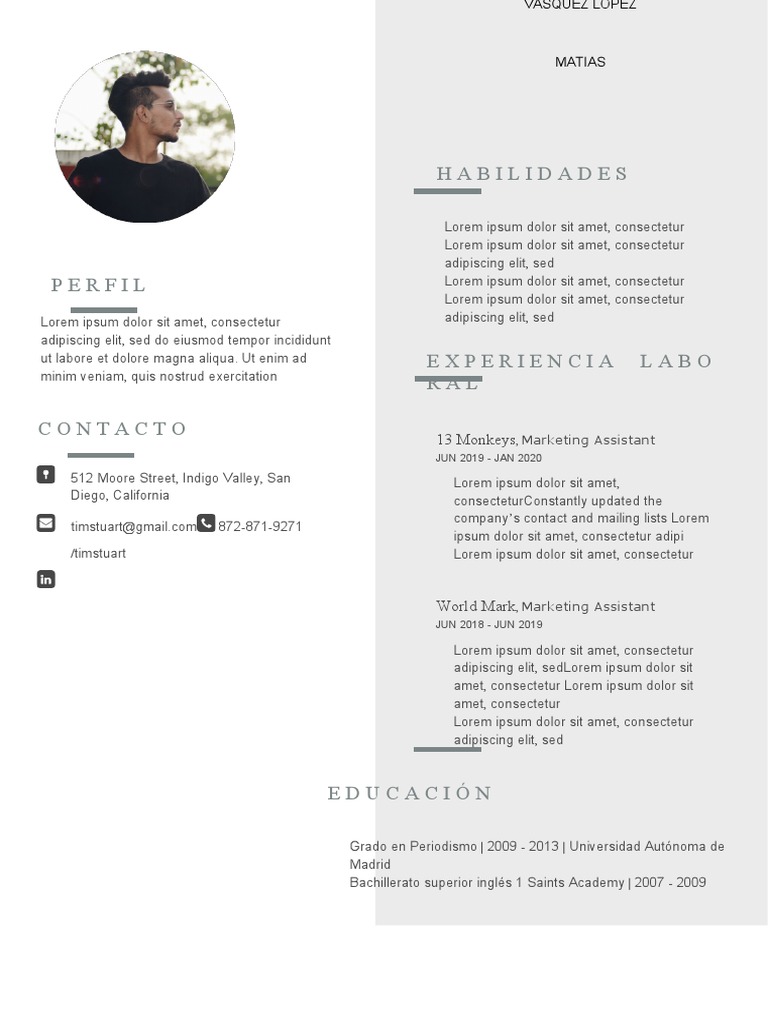 Nueva Plantilla Curriculum Vitae Gris Foto Lado | PDF