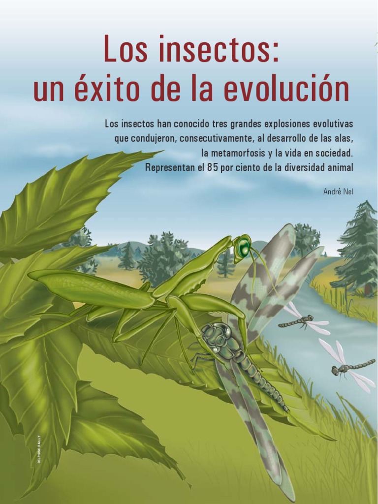Evolución y diversidad de los insectos | PDF | Insectos | Cretáceo