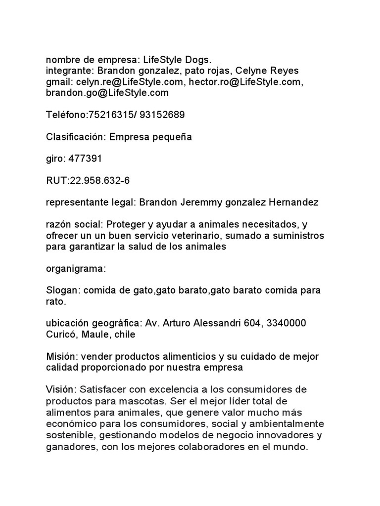 BRANDON - Proyecto Empresa | PDF