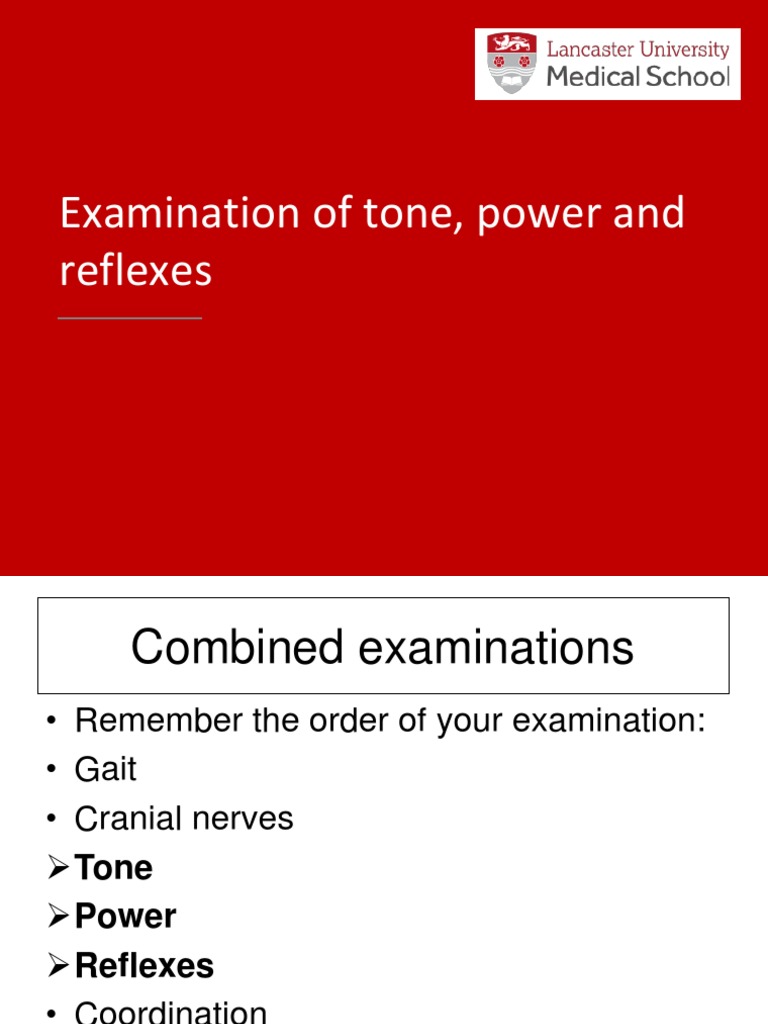 Tone, Power, and Reflexes Examination | PDF | Anatomical Terms Of ...