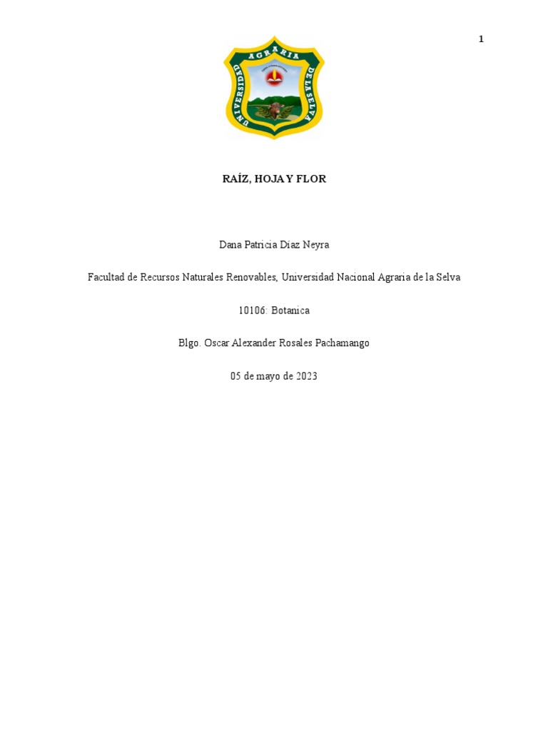 Estructura de Raíz, Hoja y Flor | PDF | Hoja | Raíz