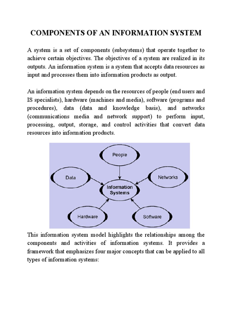Components of An Information System | PDF | Computer Network | Data