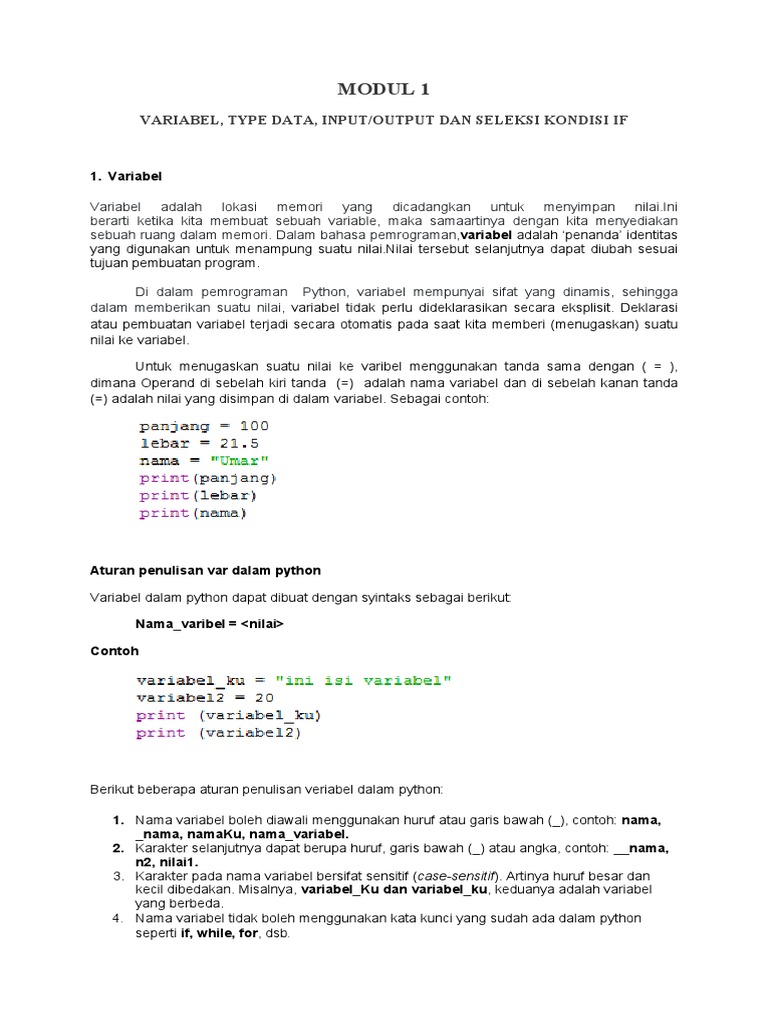 Variabel dan Tipe Data dalam Python | PDF | Metode & Bahan Ajar | Komputer