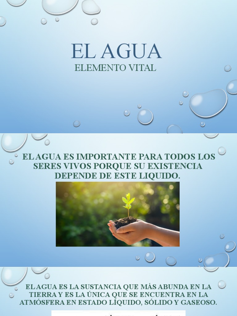 Importancia del Agua para la Vida | PDF | Hogar, jardinería y bricolaje