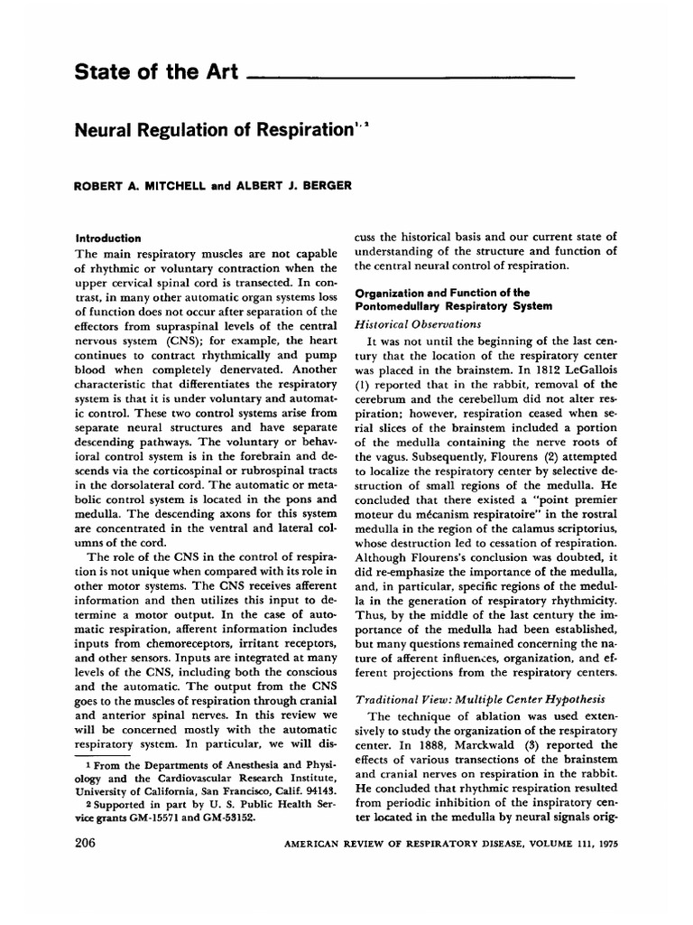 Neural Regulation of Respiration | PDF | Inhibitory Postsynaptic ...