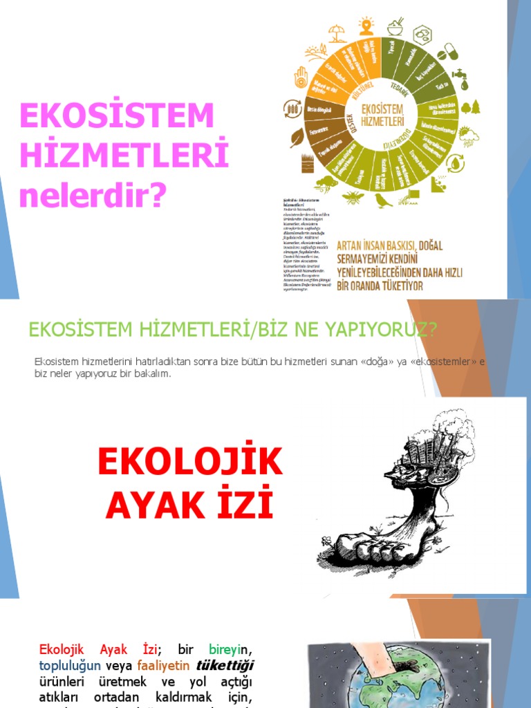 HAFTA - Ekosistem Hizmetleri | PDF