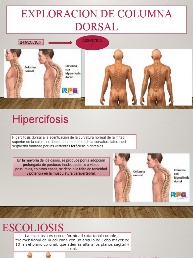 Exploracion de Columna Dorsal | PDF