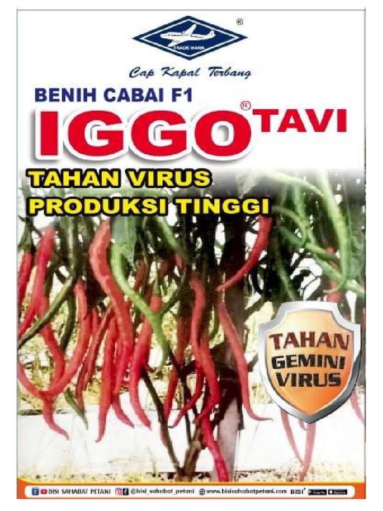 Iggo Tavi | PDF