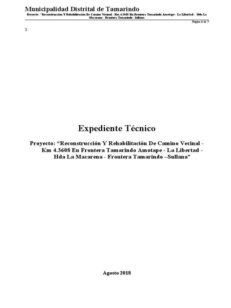 Exp Tec Camino Vecinal Tamarindo | PDF | Hormigón | Materiales