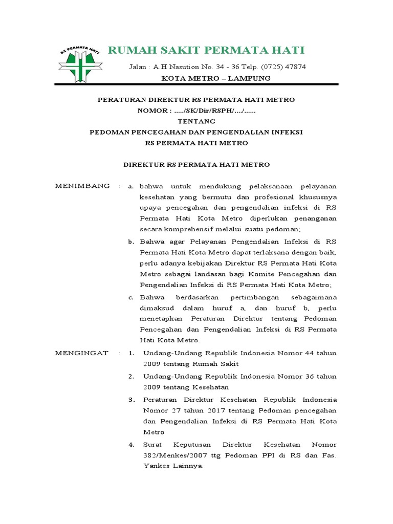 Ep Ppi 1.1 Pedoman Dan Regulasi Ppi RSPH | PDF